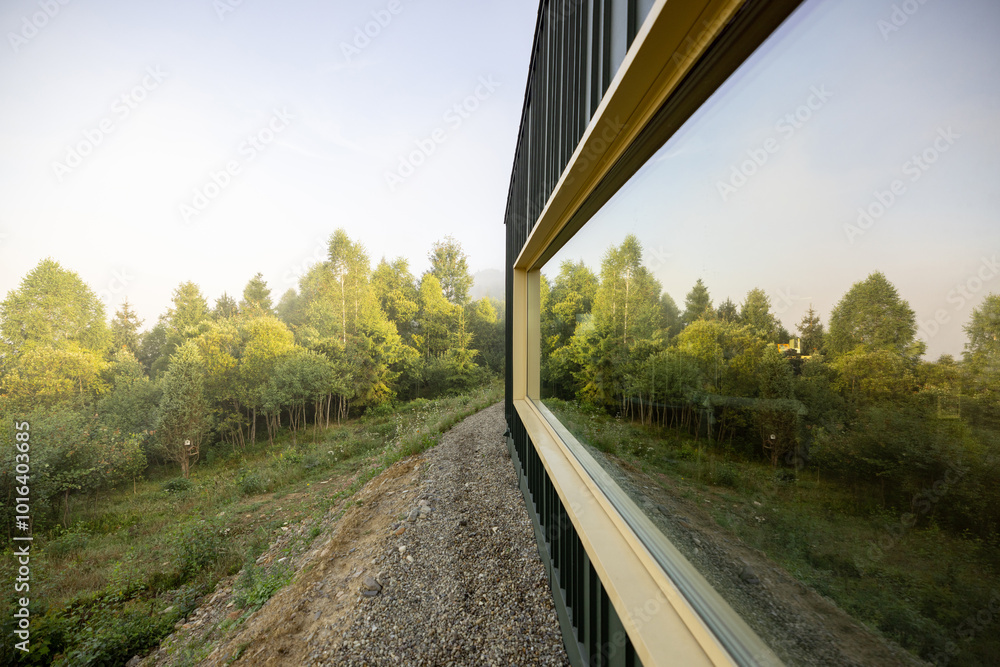 A peaceful morning view of the lush green forest reflected in the large ...