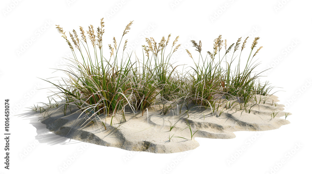 A coastal restoration project features a wave-like arrangement of sea ...