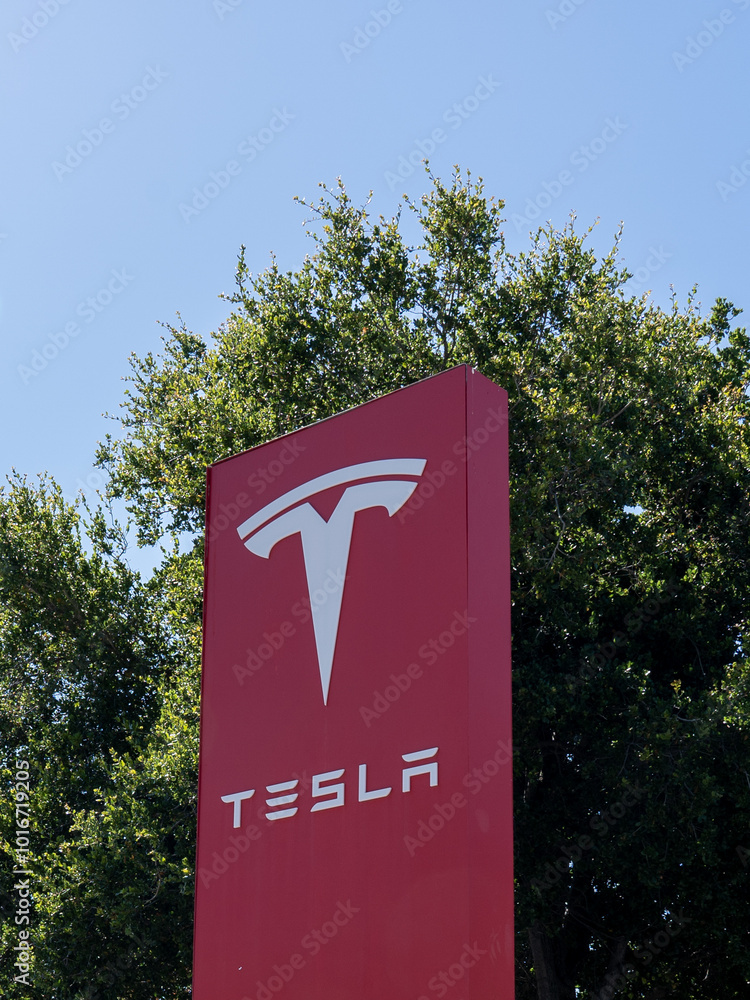 Palo Alto, California, USA - June 8, 2023: Tesla ground sign is seen at ...