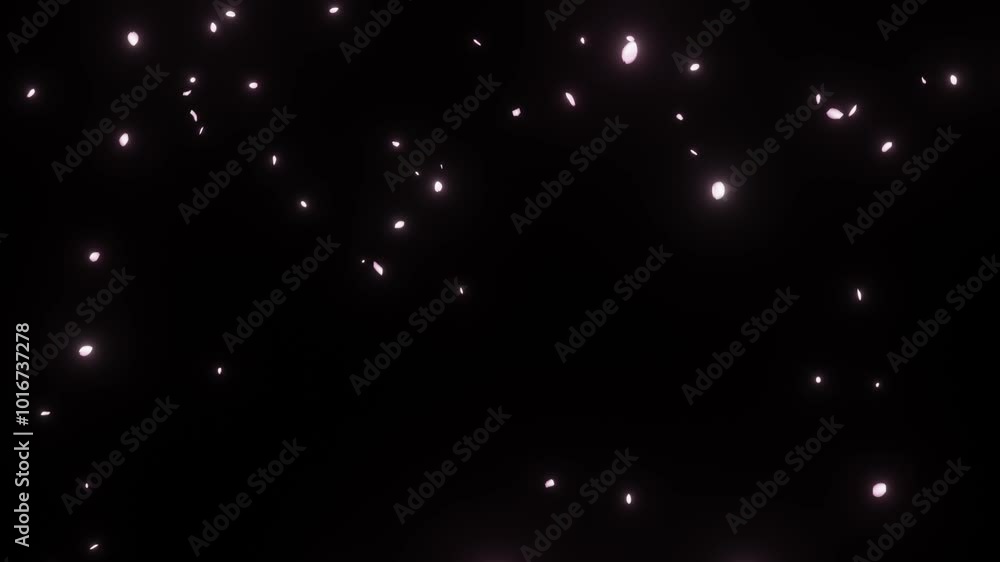 Cherry blossom petals falling particle animation (PNG Background) - (4K ...