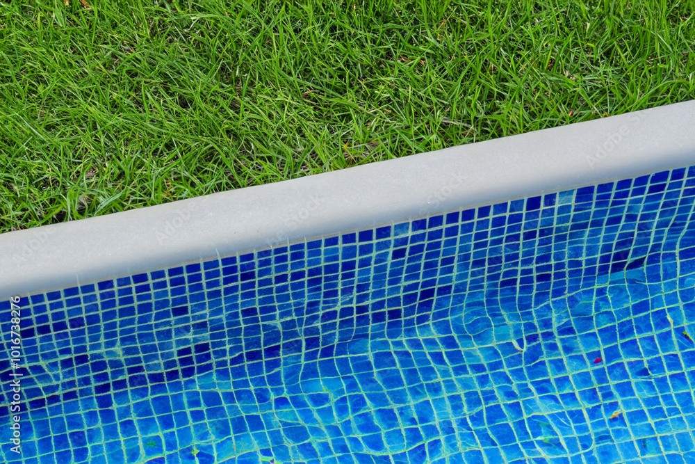 Small pool with border of water and lawn. nature beautiful landscape ...