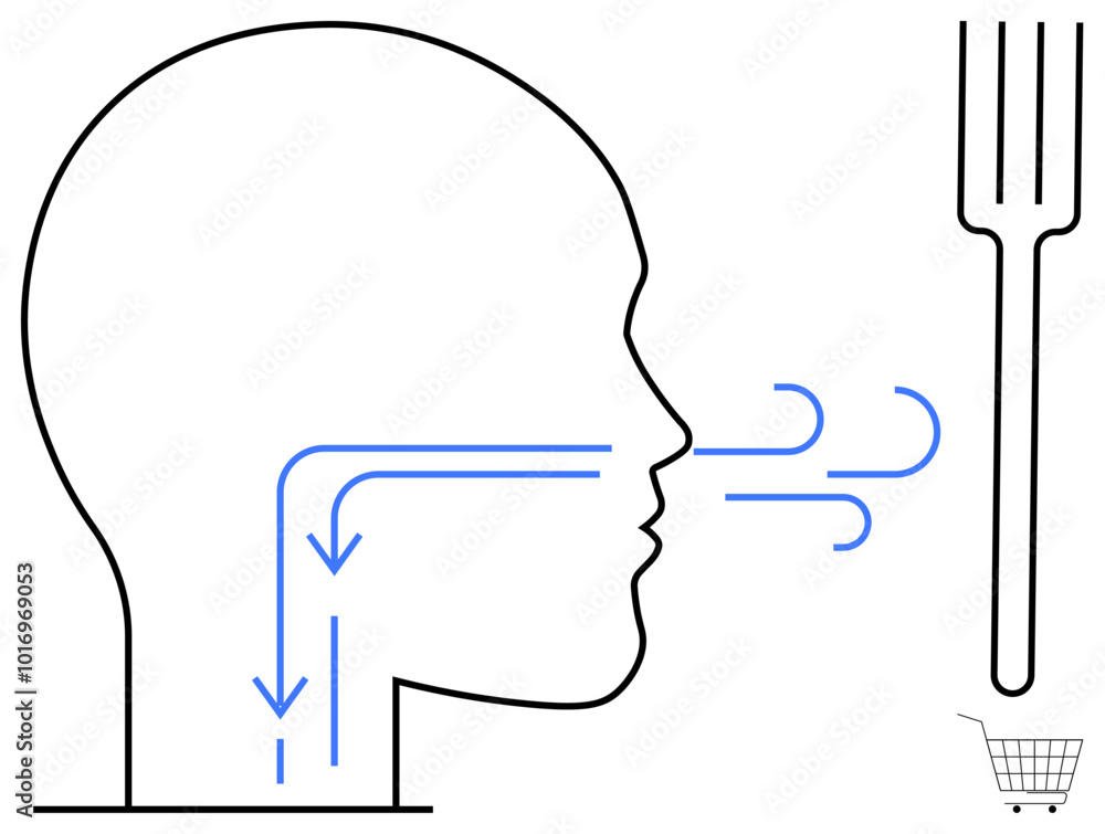 Simplified outline of a human head with arrows showing airflow and ...