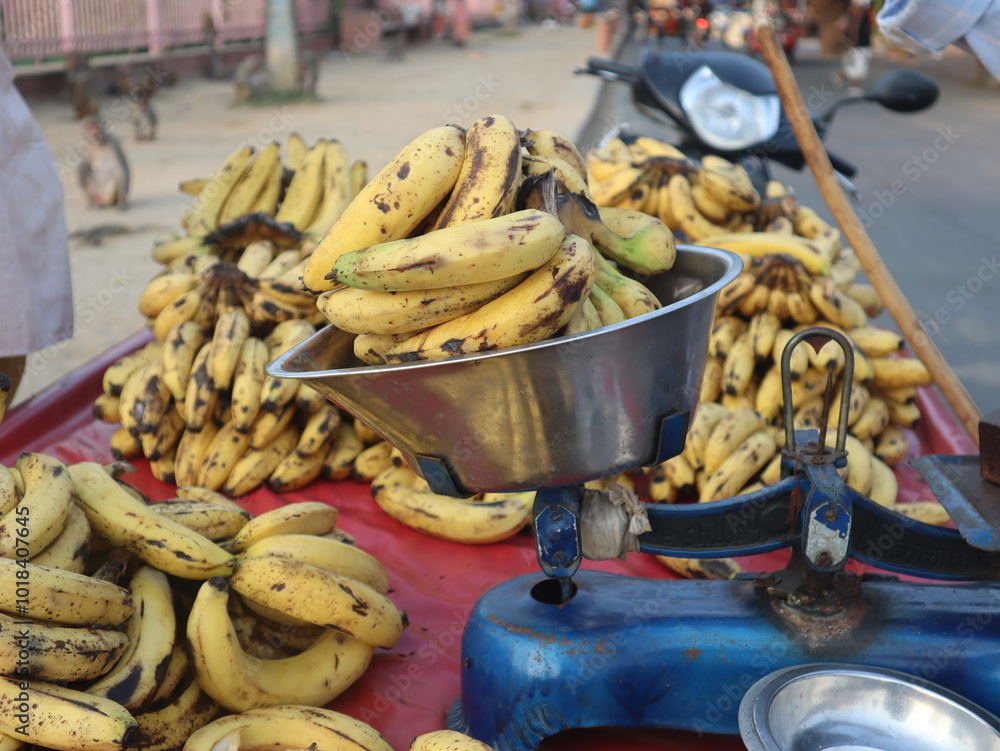 A banana vendor weighs and arranges bananas at his stall on Govardhan ...