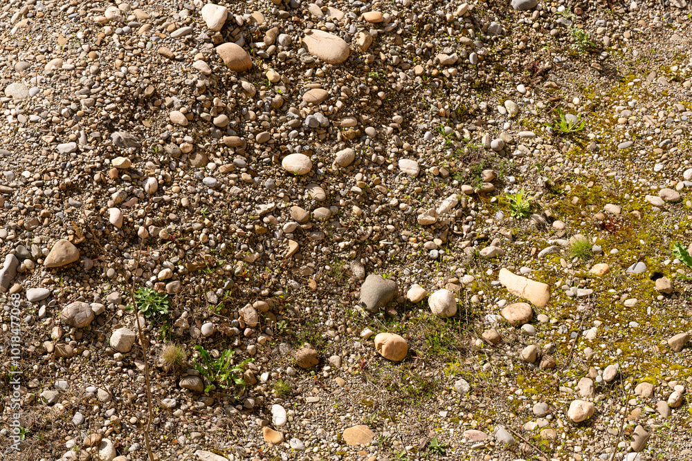 Foto de Dry and dusty ground texture with pebbles and dirt and little ...