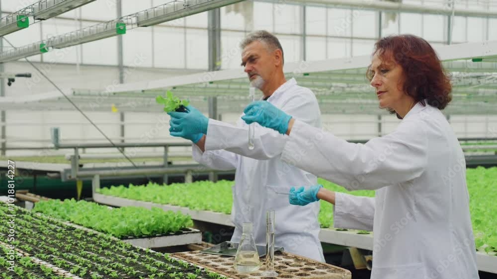 Scientific research on plants. Scientists take samples of soil, leaves ...