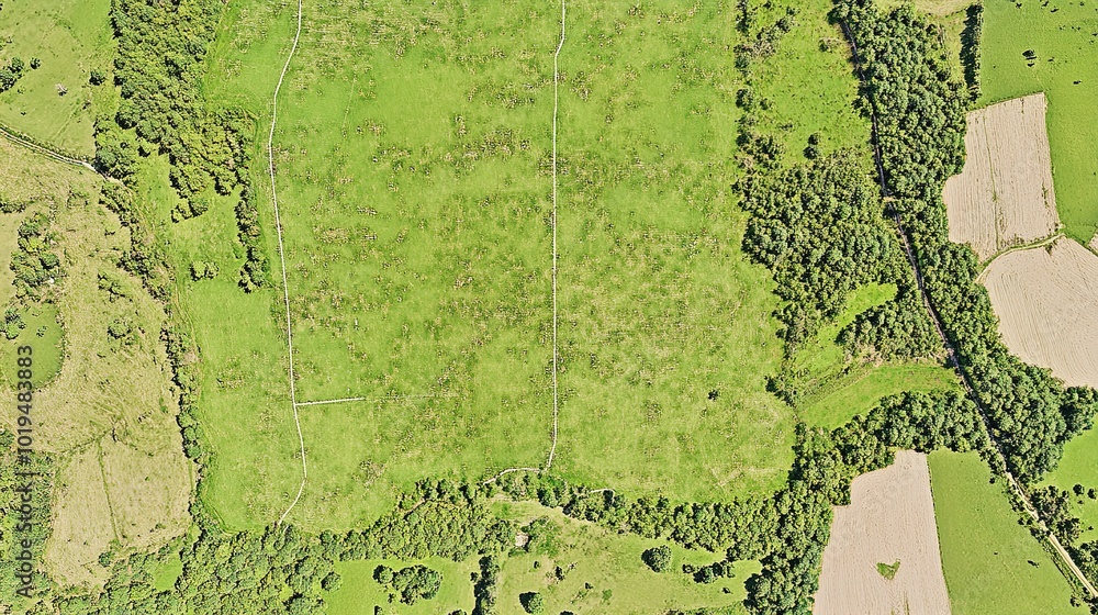 Boundary map for a 2.5-acre square plot, illustrated at a scale of 1 ...