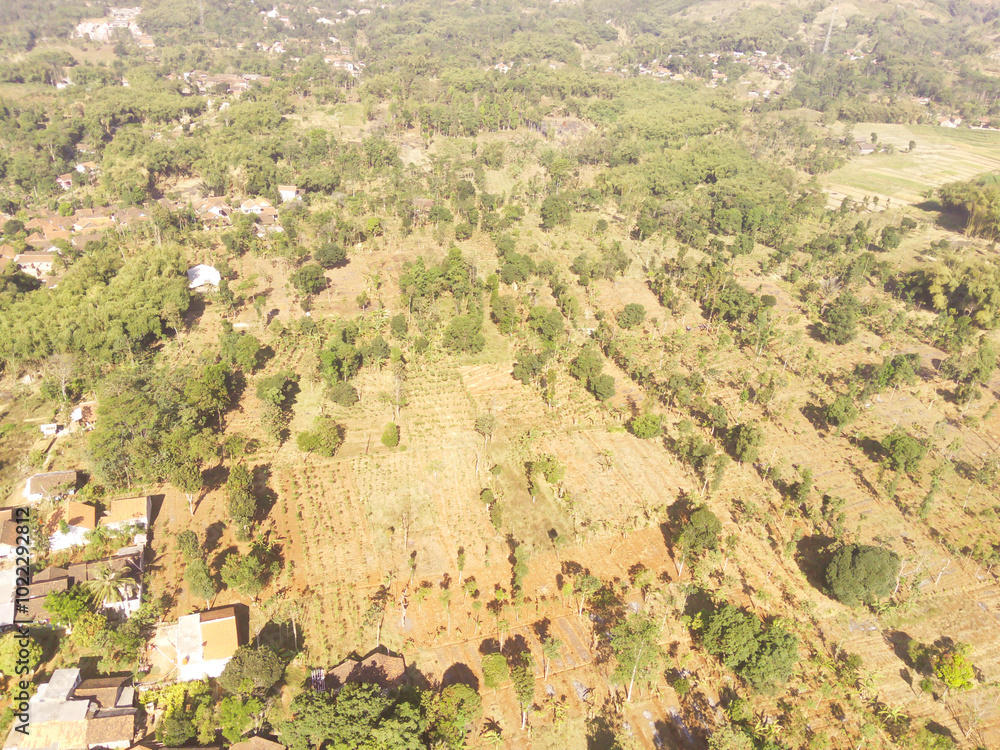 Aerial drone of barren forrest on the slopes of a mountain ...