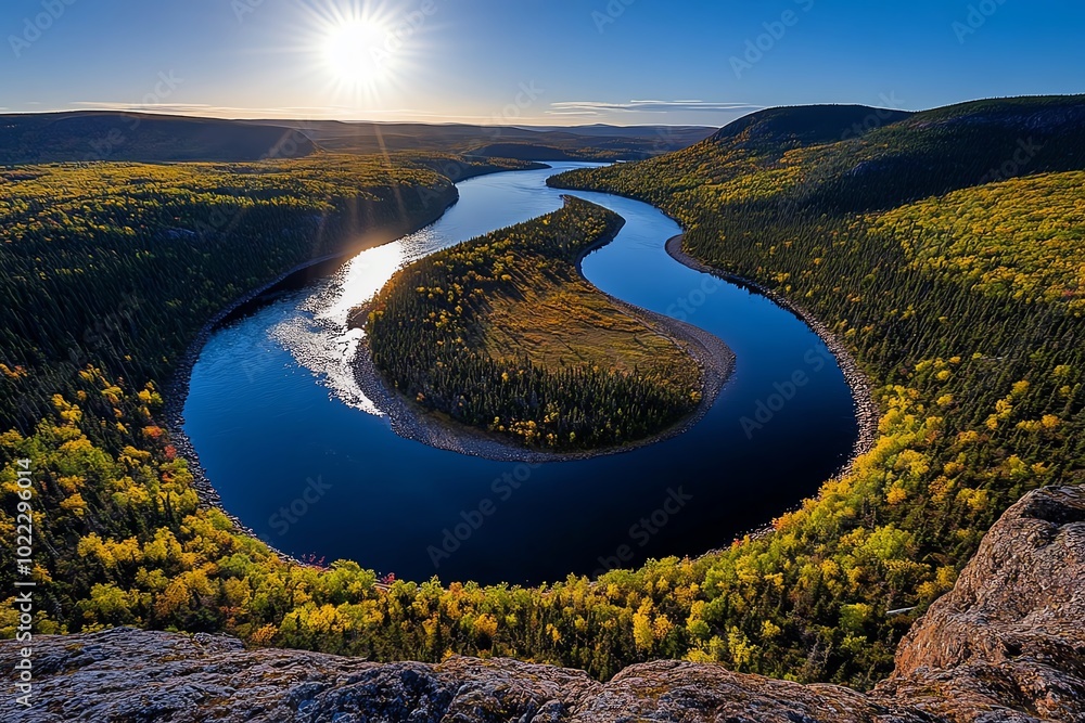 Realistic image of a river winding through a forest, with sunlight ...