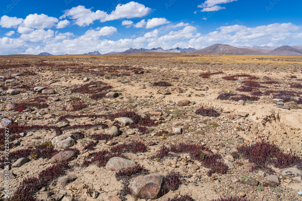 Barren landscape view of high-altitude Deosai Plains national park in ...