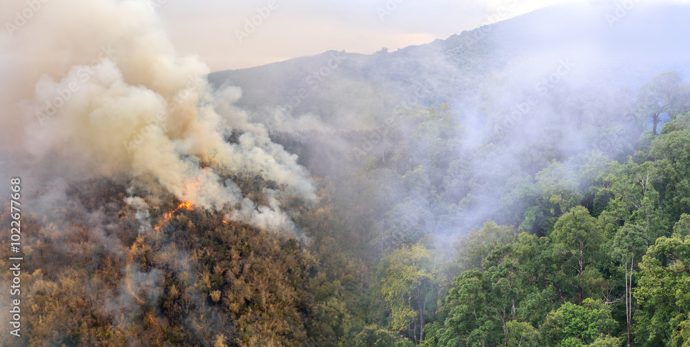 Wildfires release carbon dioxide (CO2) emissions and other greenhouse ...