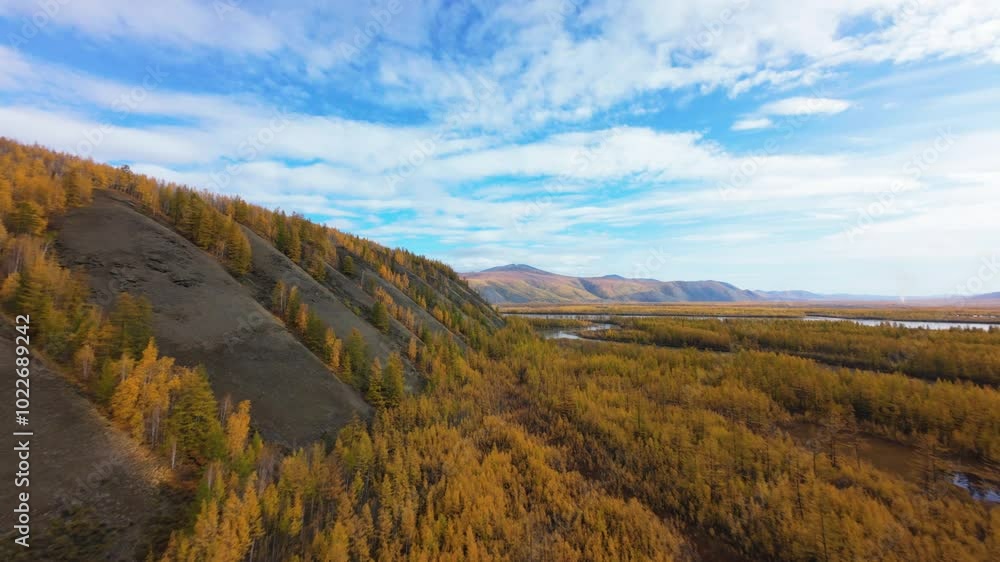 Experience the stunning transformation of nature as golden foliage ...