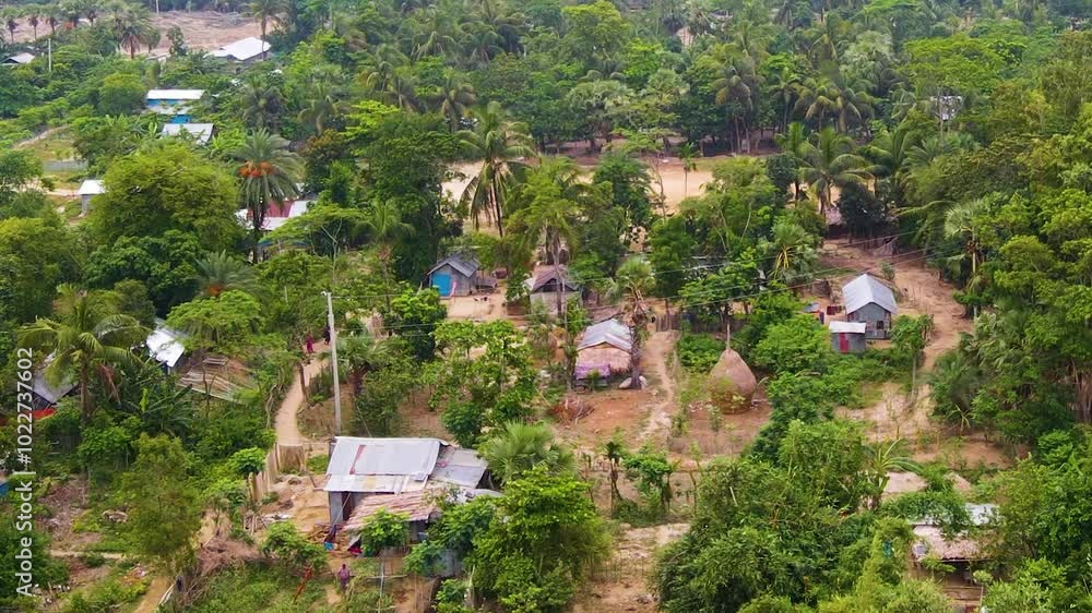 A rural indigenous tribe village deforesting the Amazon rainforest to ...