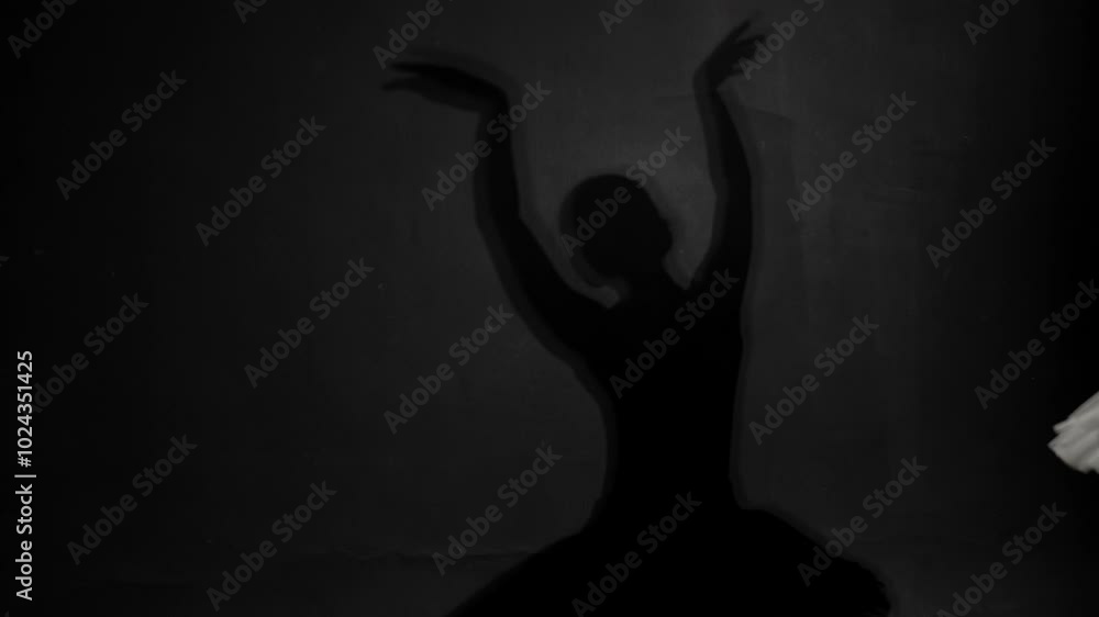 Shadow of beautiful slender ballerina on grey wall, classic ballet ...