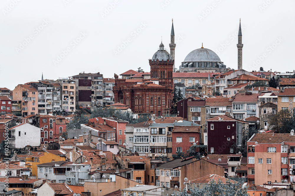 Istanbul panoramic view, Phanar Greek Orthodox College surrounded by ...