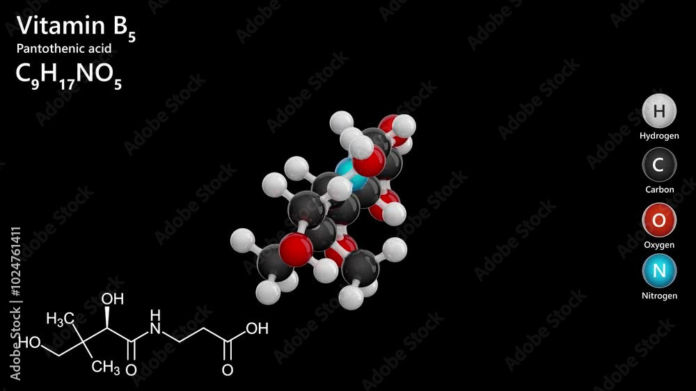 Pantothenic acid or B5 vitamin. Animated 3d model of molecule ...