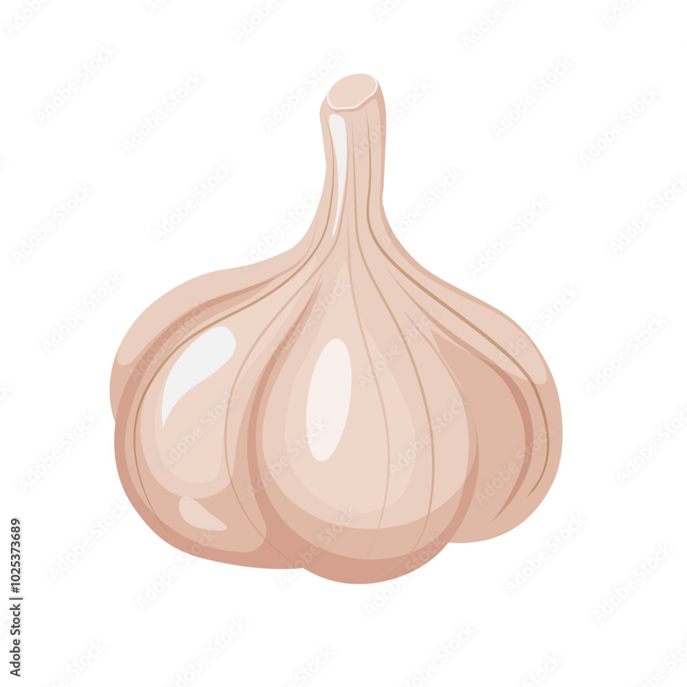 Cartoon garlic vector illustration isolated in white background. Stock ...