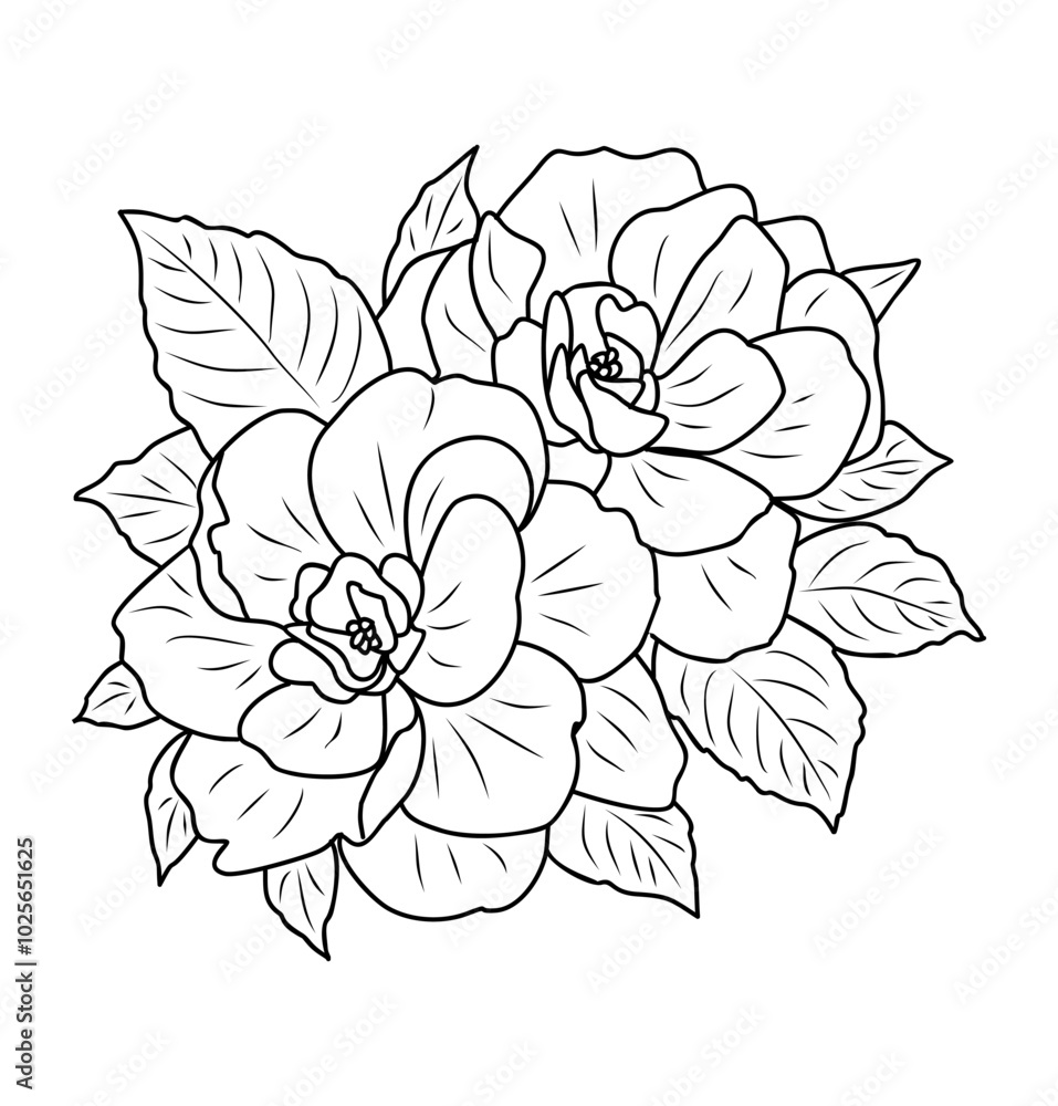 Camelia flower line art drawing. Hand drawn black ink sketch. Modern ...