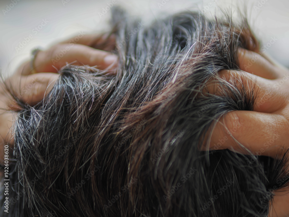 Gray hair on the head of a mature woman. Short gray hair. showing black ...