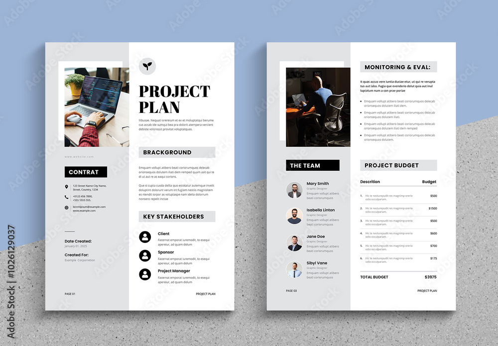 Project Plan Flayer Layout Stock Template | Adobe Stock