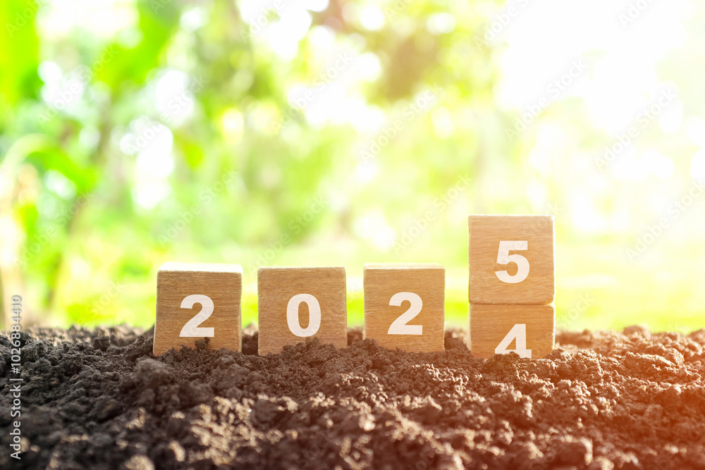 Transition change of year 2024 to 2025 in wooden blocks with growing ...
