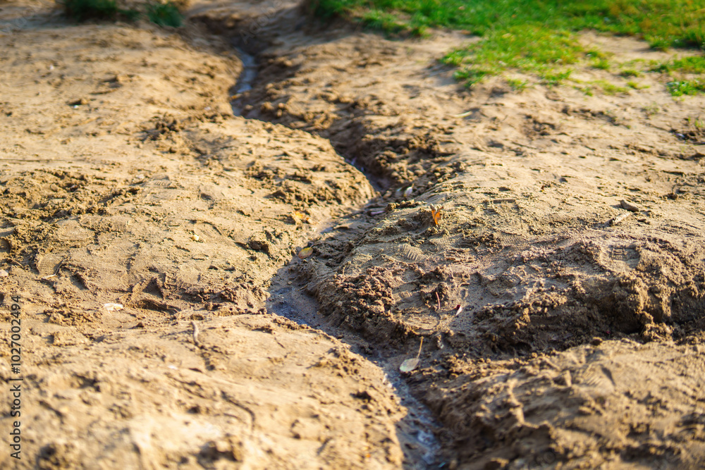 mesmerizing image captures delicate patterns created by a trickling ...
