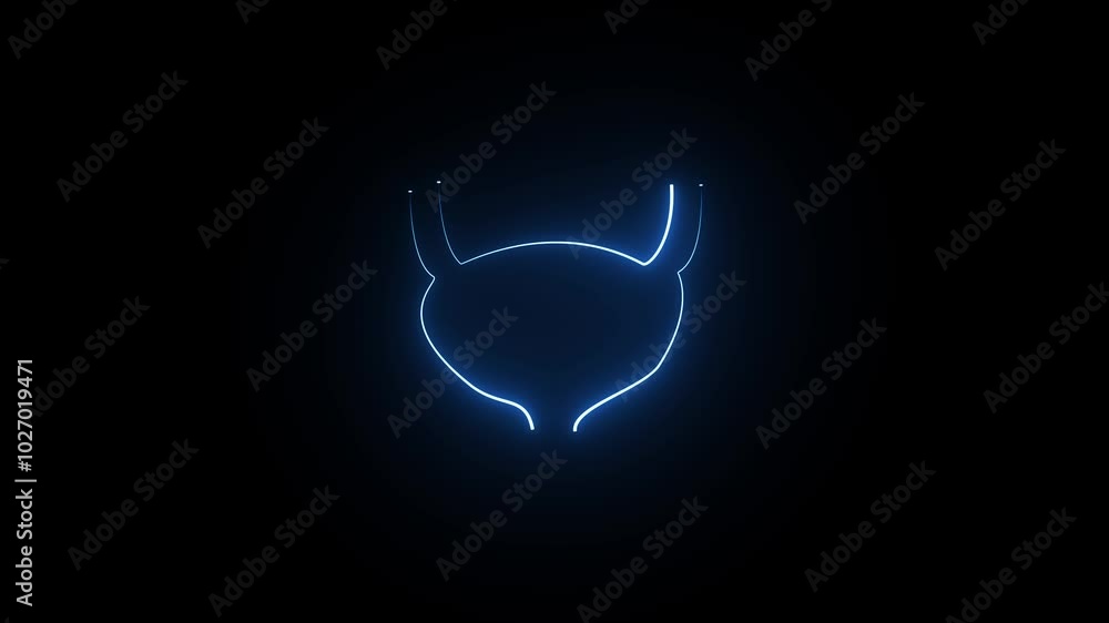 Vidéo Stock bladder human organ animation on the black background.Neon ...
