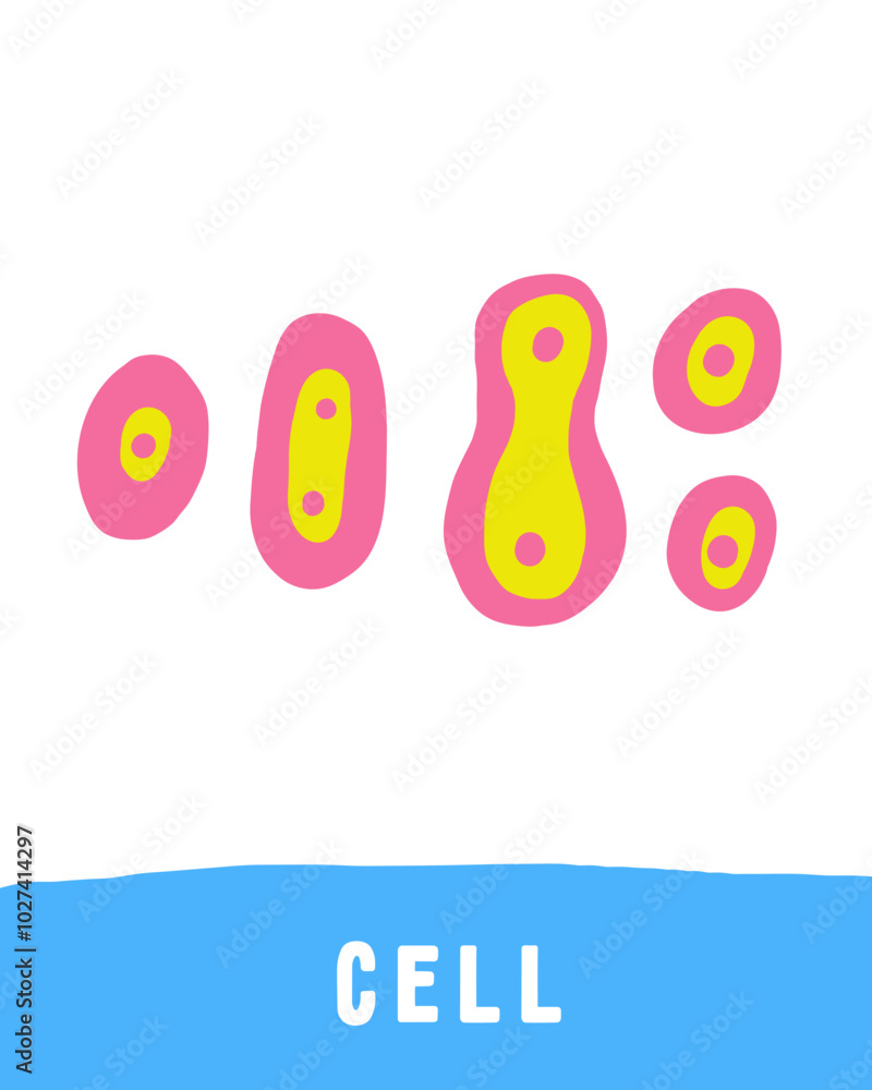 Learn science objects flashcard. Learning words for kids. Cute hand ...