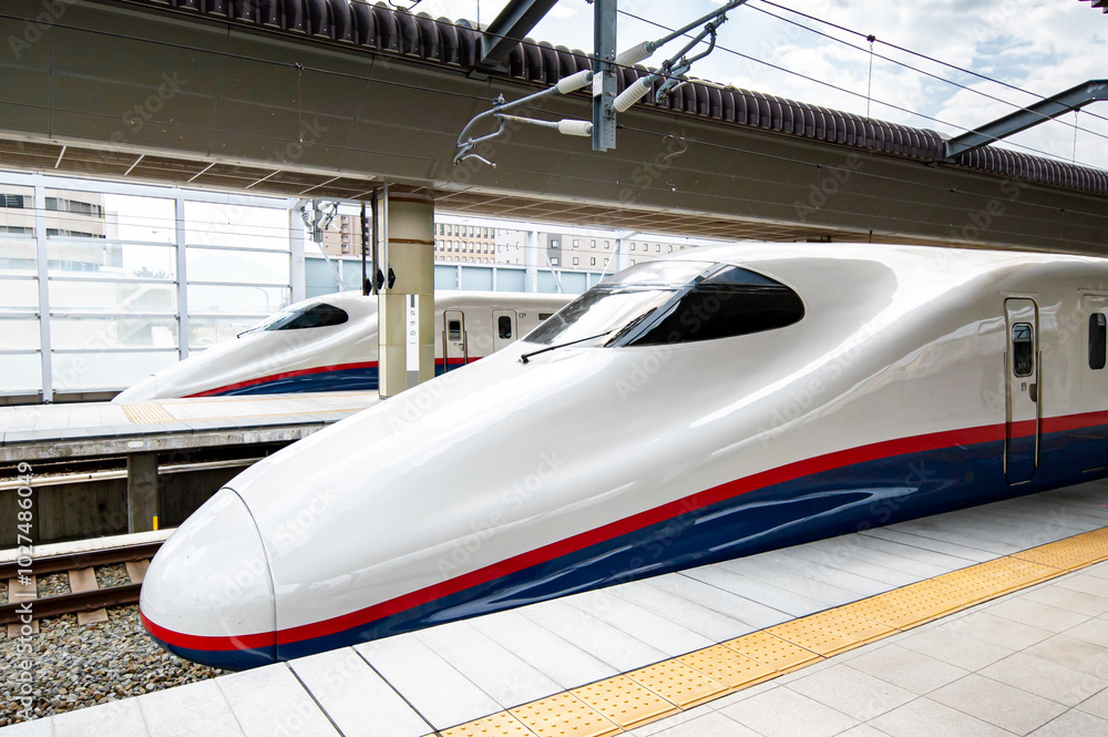 Two JR E2 Series Shinkansen High Speed Train stopping side-by-side at ...
