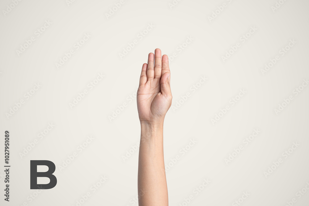 Deaf Sign alphabet of B, American Sign Language ASL. Isolated object ...