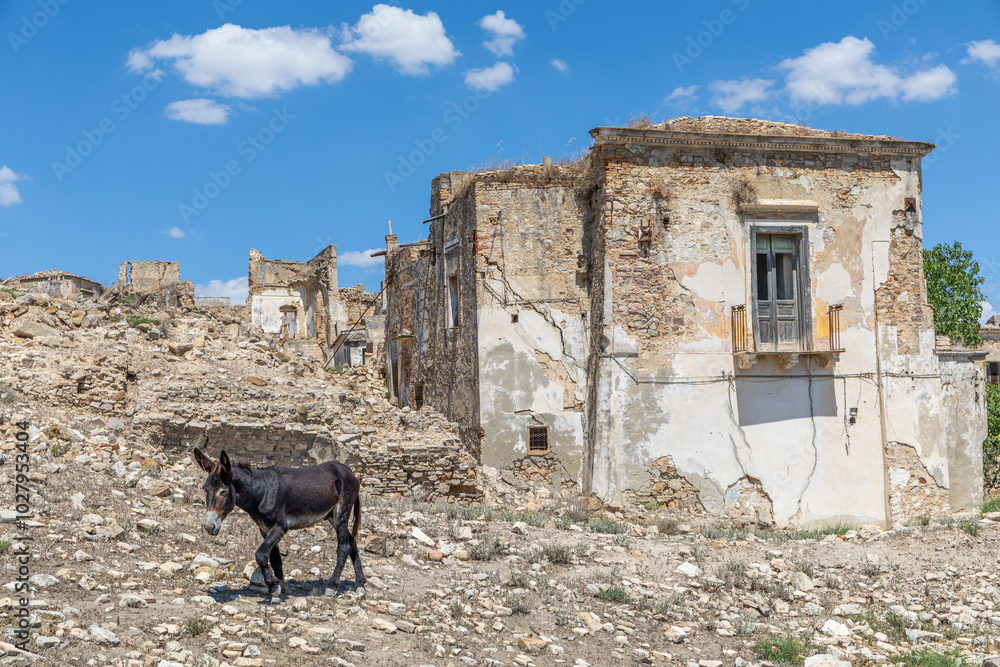 Âne errant seul au milieu des maisons abandonnées de la ville fantôme ...