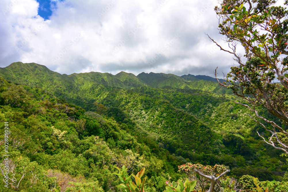 Views of the Koolau mountains and ridges from a hiking trail above ...