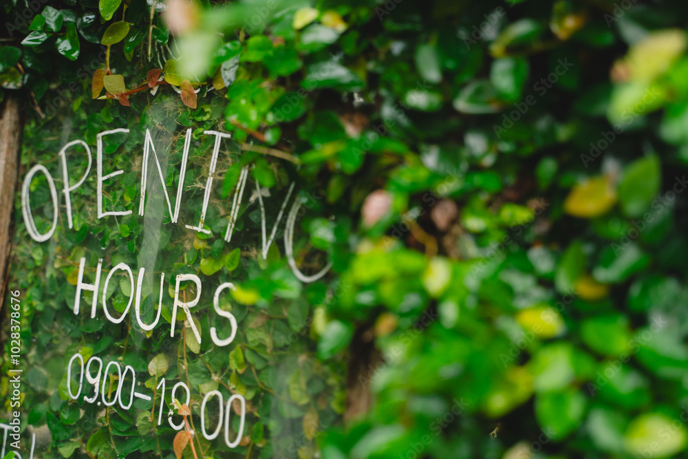 the open shop displayed vibrant signs inviting all to explore local ...