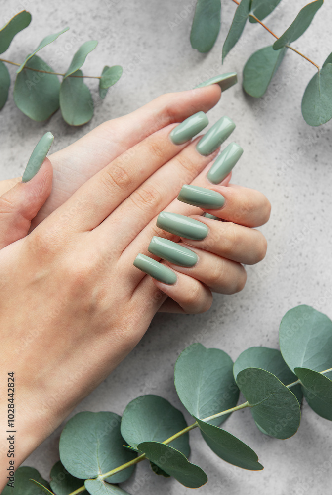 Elegant green manicure displayed with eucalyptus leaves on a soft gray ...