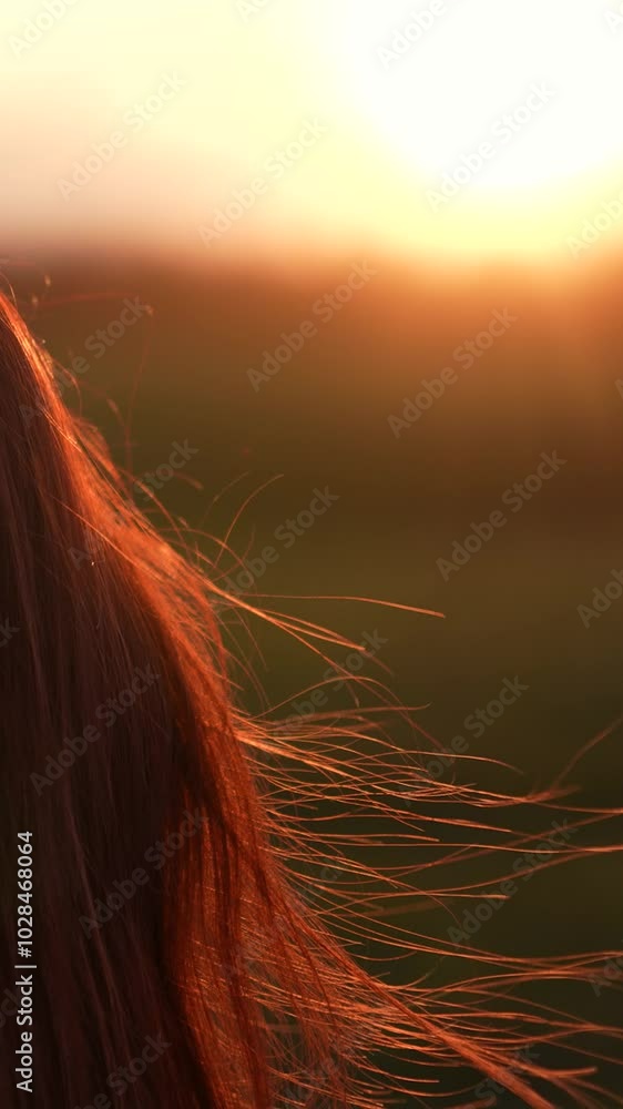 happy woman with long hair wind, woman girl sunset nature, beautiful ...