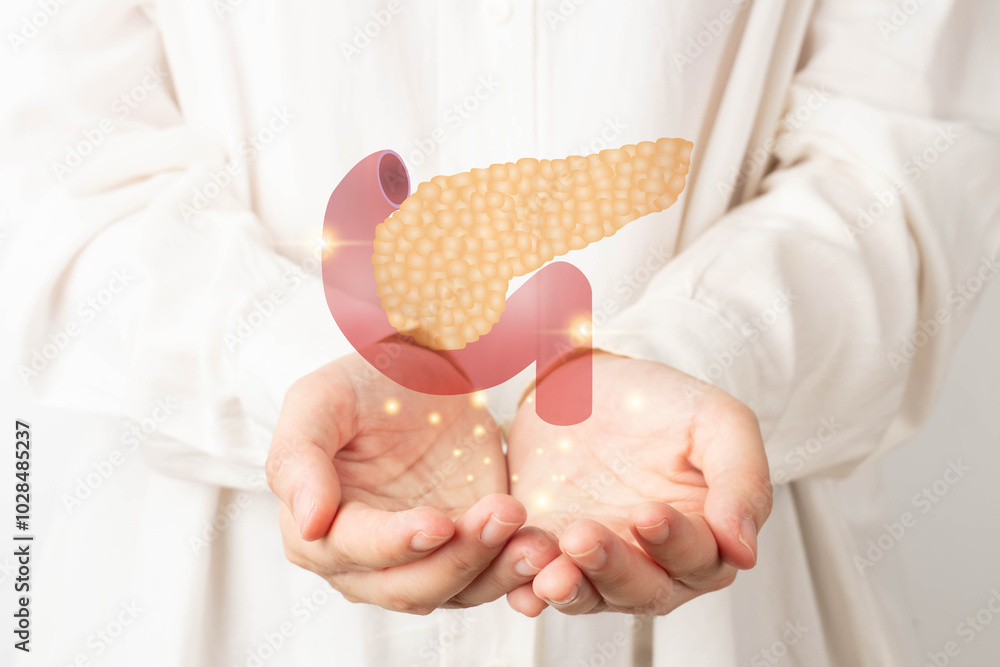 Pancreas organ anatomy on doctor hands. Awareness of pancreatitis and ...