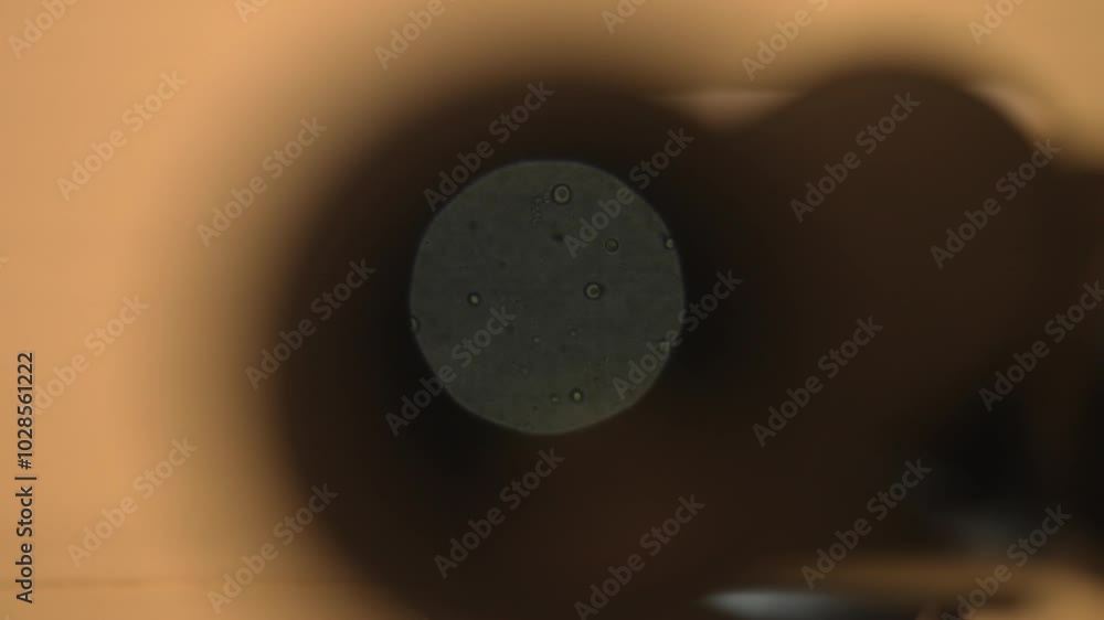 Macro top view from first-person perspective looking into a microscope ...