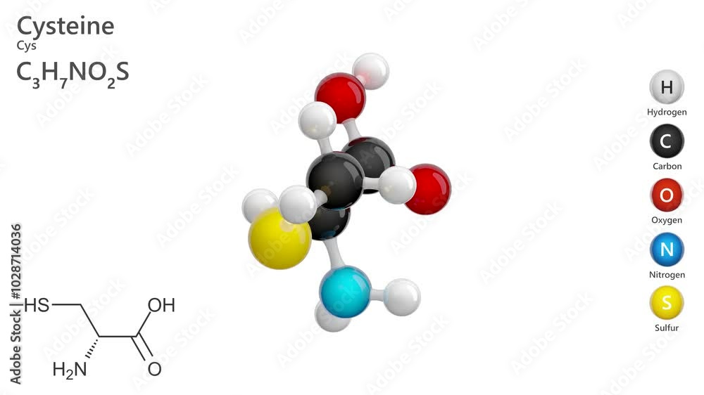 Molecule of Cysteine (C3H7NO2S), is a semi-essential amino acid, which ...