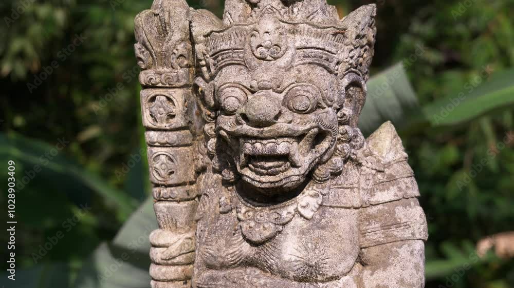 Video of the Barong statue in rice green fields on a Bali island in ...