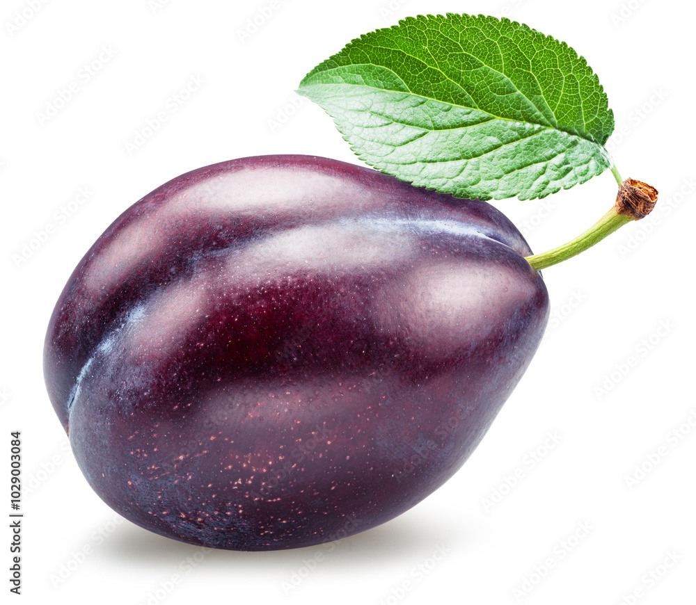 Ripe prune plum with green leaf isolated on white background. Clipping ...