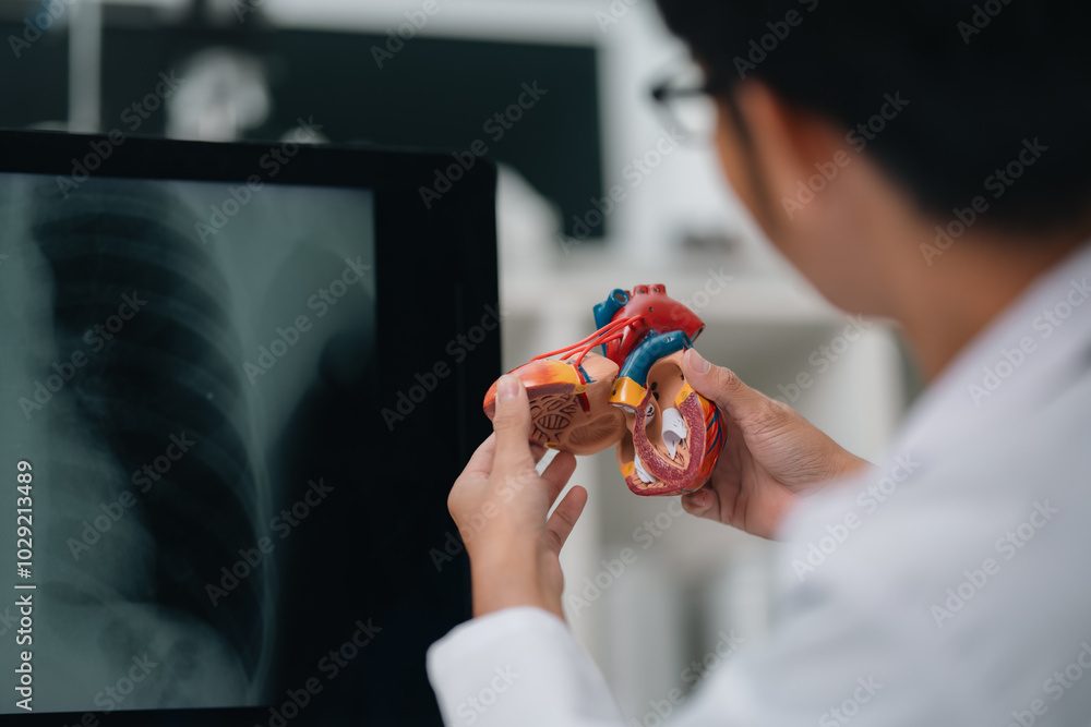 Cardiologist Providing Comprehensive Health Care, Patient Exams and ...