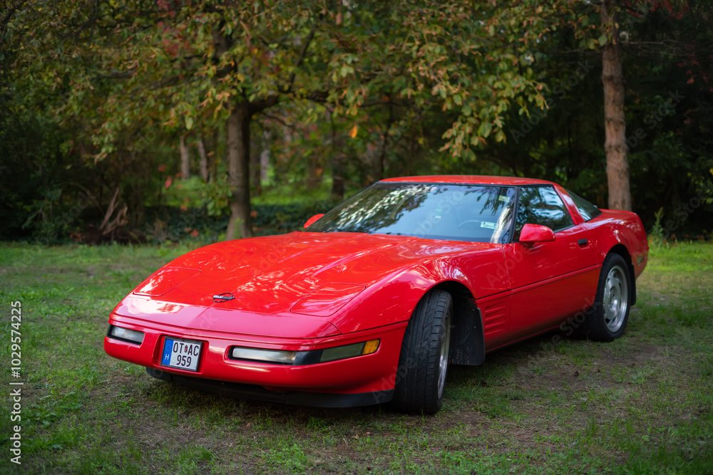Red Chevrolet Corvette C4 parked on a grassy lawn in countryside ...