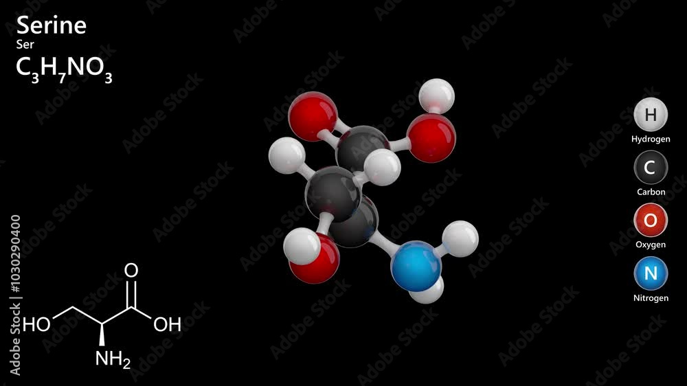 Vidéo Stock Molecule of Serine (C3H7NO3) is an amino acid vital for ...