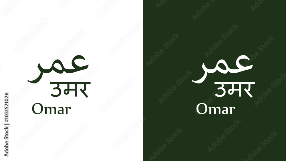 Vector art Arabic name design of Omar in English, Hindi and Arabic ...