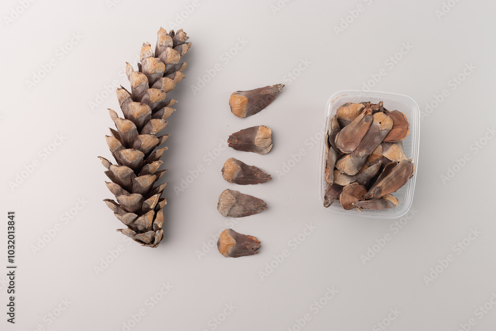 Brown pine cone, elongated with tight scales gray background, top view ...