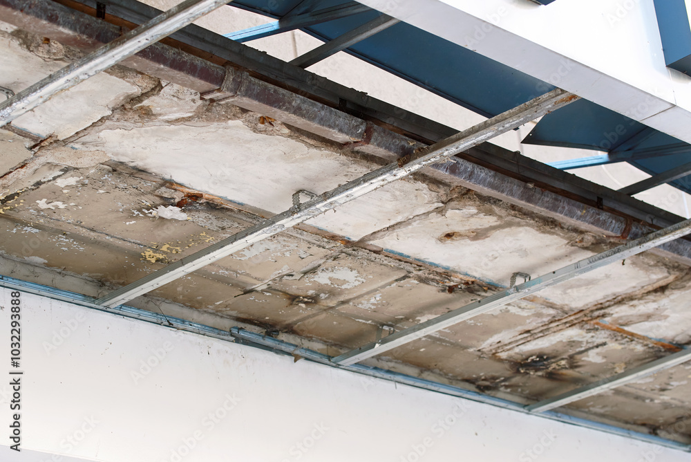 Suspended ceiling installation and facade renovation, upgrading ...