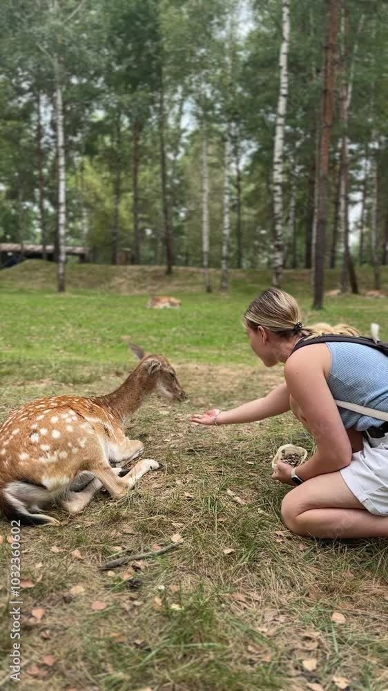 Animals in eco zoo,Wildlife,Ecosafari,feeding animals in the wild Stock Video | Adobe Stock