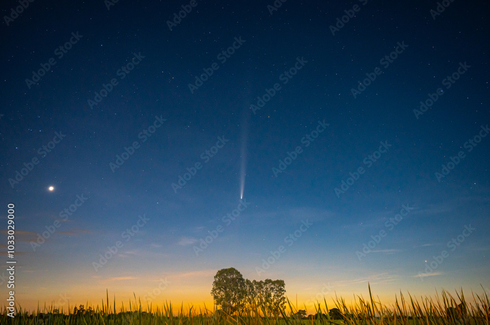 Comet tail in the sky, night landscape. Comet surrounded by stars in ...