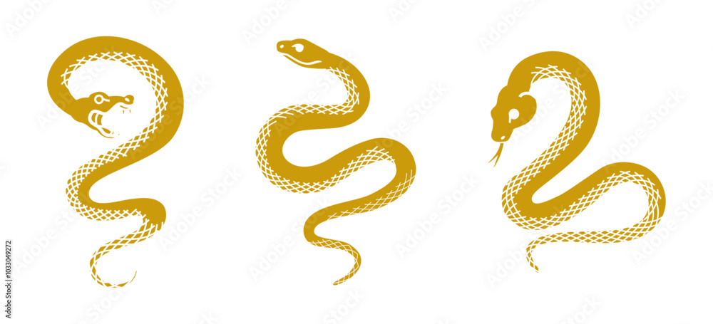 Three types of different shapes of snakes - Year of the Snake 2025 clip ...
