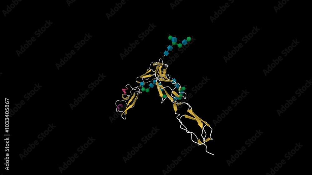 Crystal structure of Beta-2 glycoprotein I purified from plasma (pB2GPI ...
