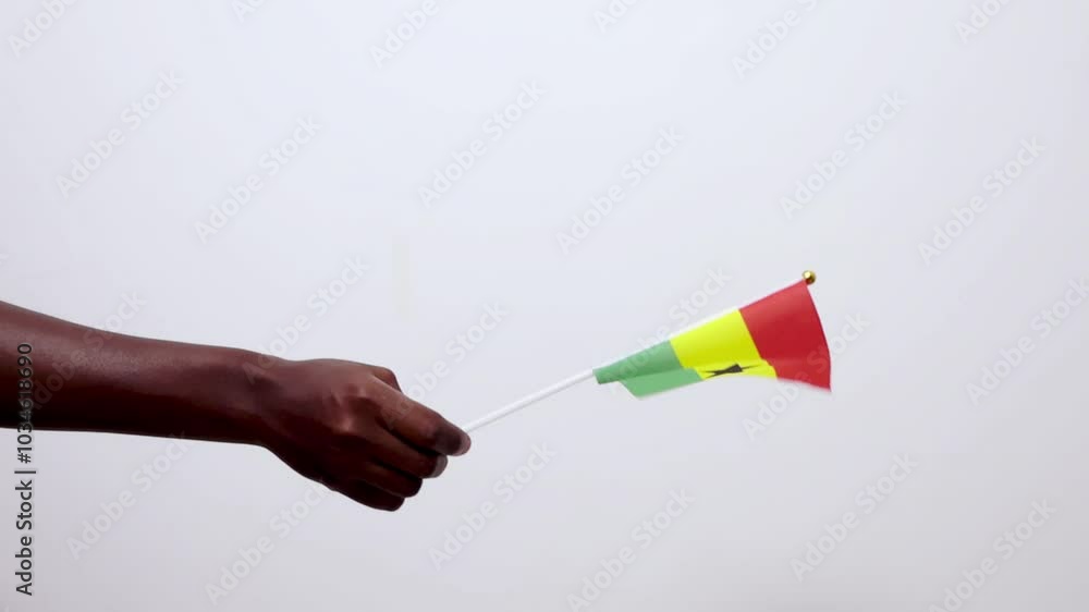 Black african female woman lady hand holding waving Ghanaian national ...